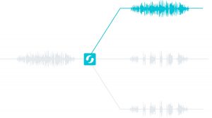 Flowroute Voice | Flowroute - SIP Trunking, VoIP, and Messaging